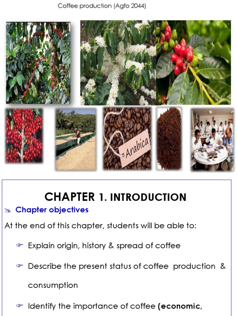 Coffe Production | PDF | Grafting | Plant Nursery