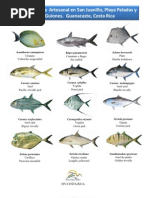 CASREP Power Point | PDF