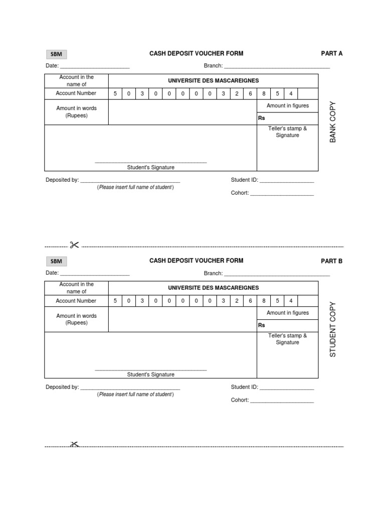 Cash Deposit Voucher Form | Download Free PDF | Service Industries ...