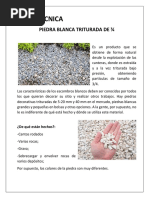 Duranta Golden | PDF | Botánica | Plantas