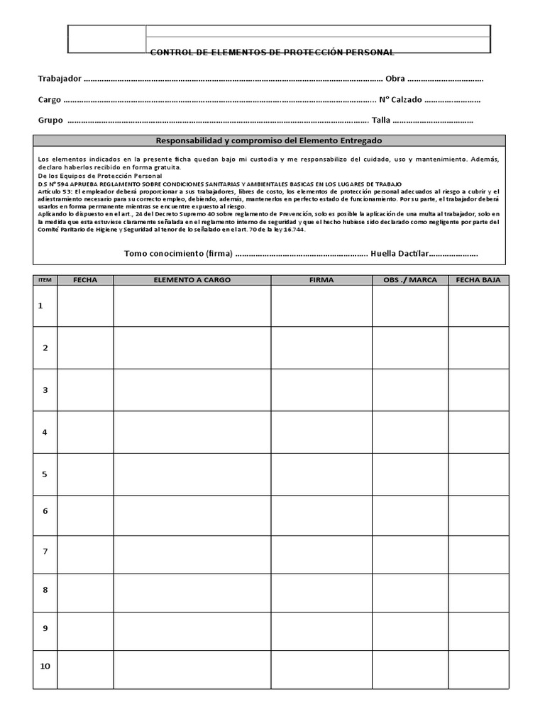 Control de EPP en el Trabajo | PDF | Finanzas y dinero | Tecnología