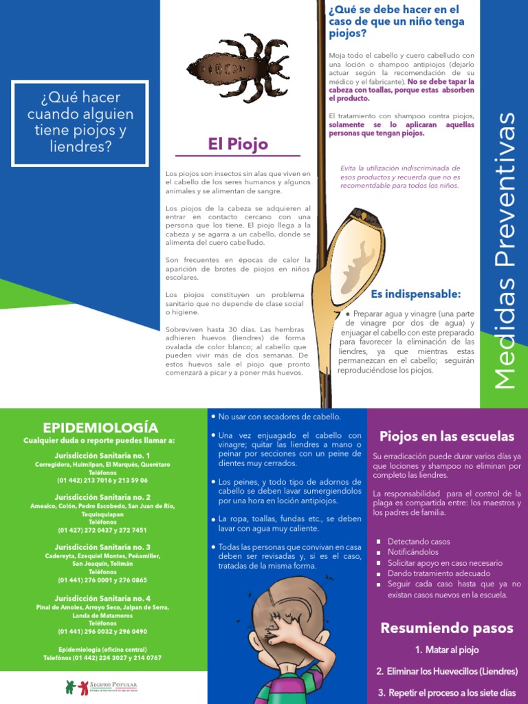 Prevención y Tratamiento de Piojos | PDF