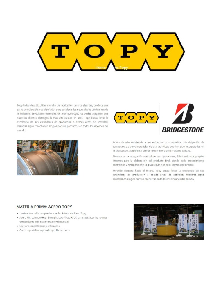 Rines Topy BSPE | PDF