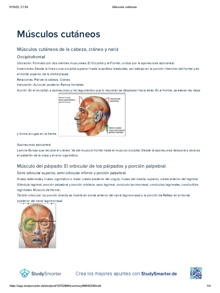 Músculos cutáneos | PDF | Nariz humana | Cara