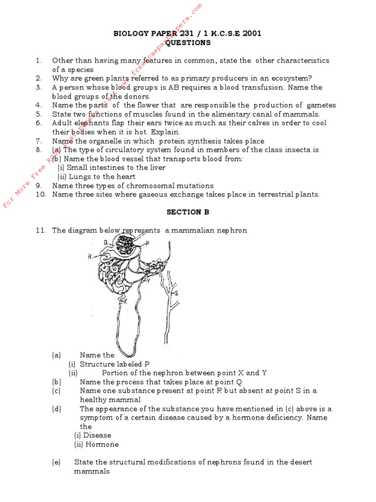 Kcse 2001 Biology Questions | PDF | Gill | Leaf
