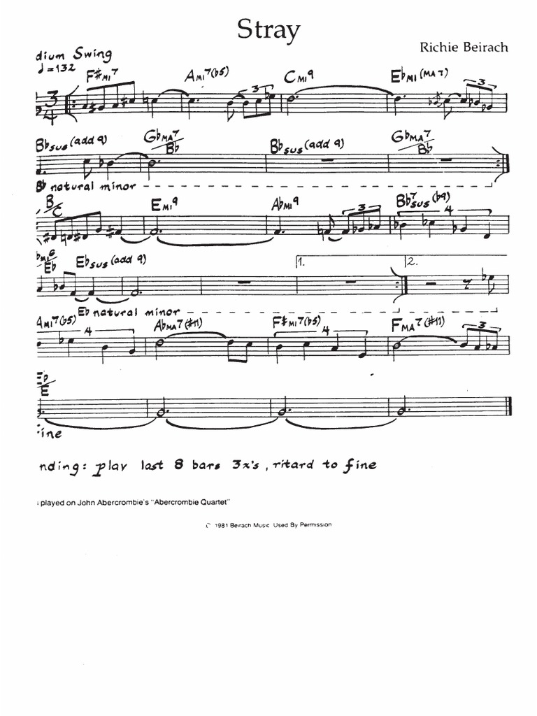 Stray | PDF