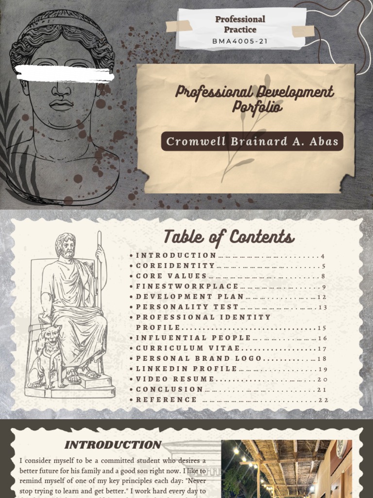 PORTFOLIO Sample | PDF | Space X