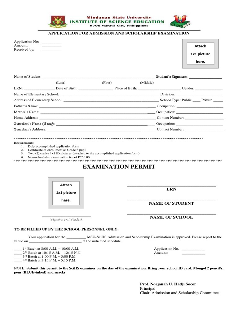 APPLICATION FORM - Final | PDF