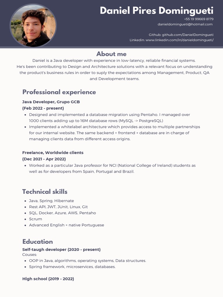 Daniel Domingueti CV | PDF