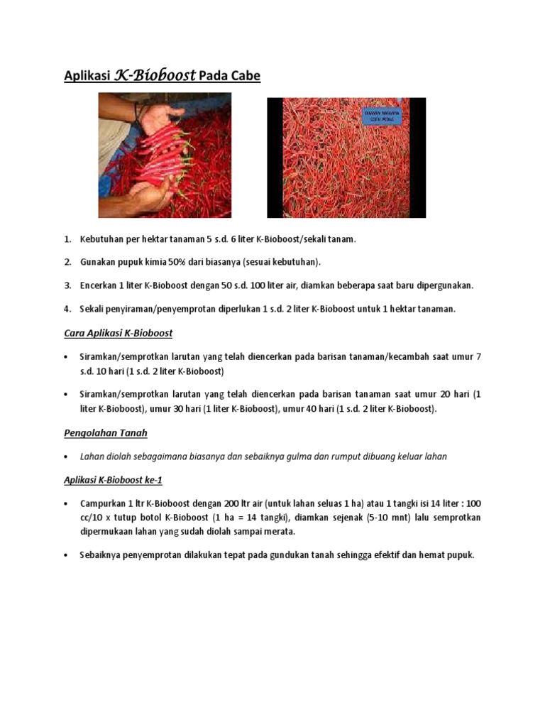 Aplikasi Pupuk Pada Cabe | PDF