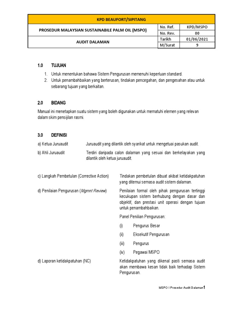 Internal Audit | PDF
