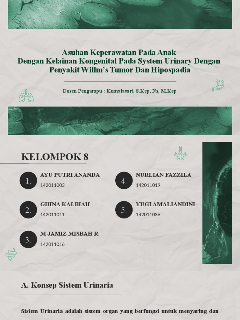 Asuhan Keperawatan Anak: Wilm's Tumor & Hipospadia | PDF | Pengembangan Diri | Sains & Matematika