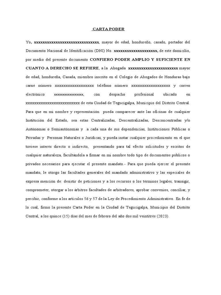 Carta Poder 2023 Pdf