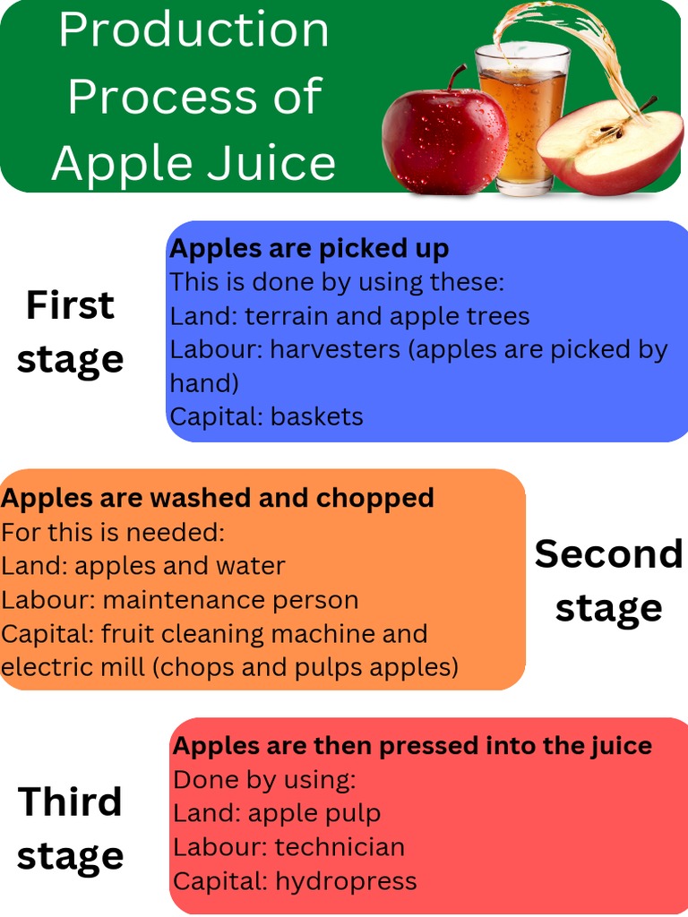 Production Process of Apple Juice | PDF