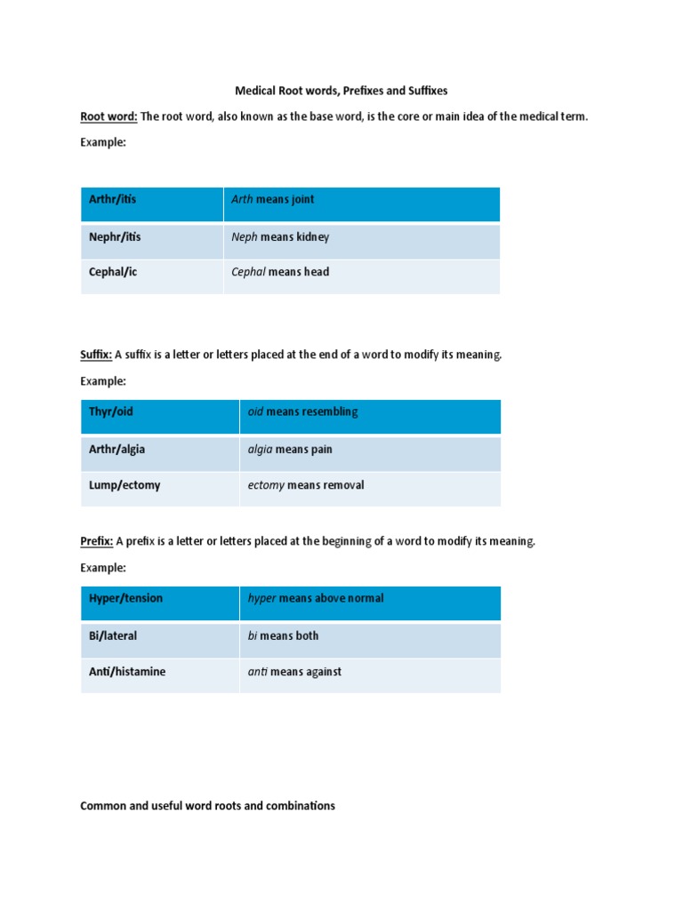 4 - Root Words, Prefixes and Suffixes | PDF | Neck | Uterus