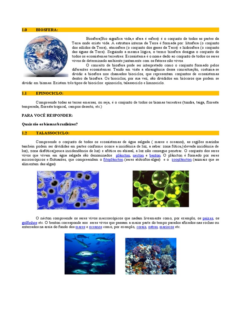 Exercícios Sobre Biociclos e Biomas Com Gabarito | PDF | Física ...