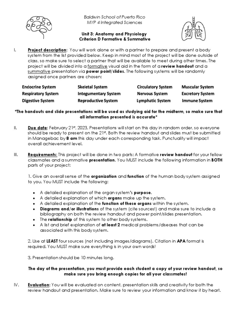 Anatomy and Physiology Project Guide | PDF | Science | Cognition