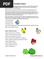 Angry Birds Graphing Project Guide | PDF