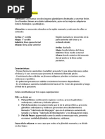 Anatomía y Función de la Mama Femenina | PDF | Pecho | Anatomía humana
