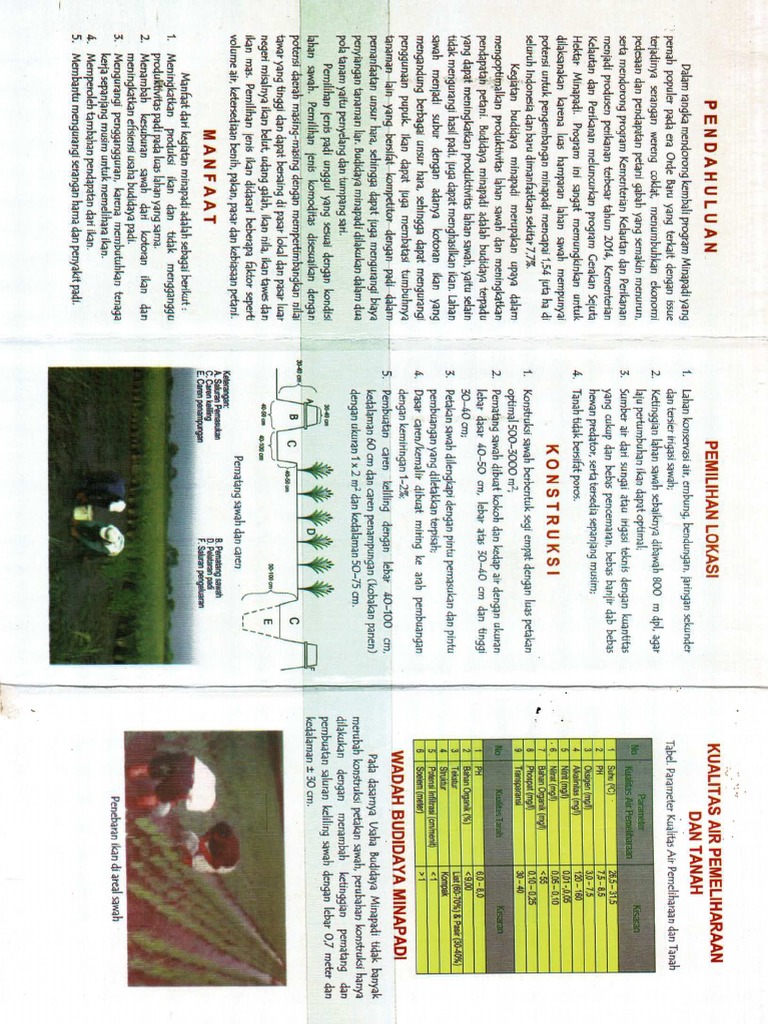 Scan 2 - 003547 | PDF