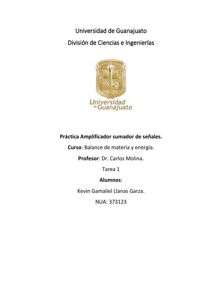 Tarea 1 B.E.M - KGLG | PDF | Ingeniería Química | Ingeniería