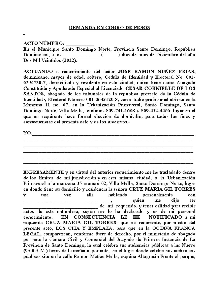 Demanda en Cobro de Pesos Maria | PDF | Sentencia (ley) | República ...