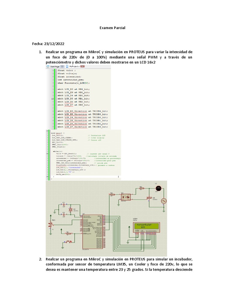 Examen Parcial-Micro Pro | PDF