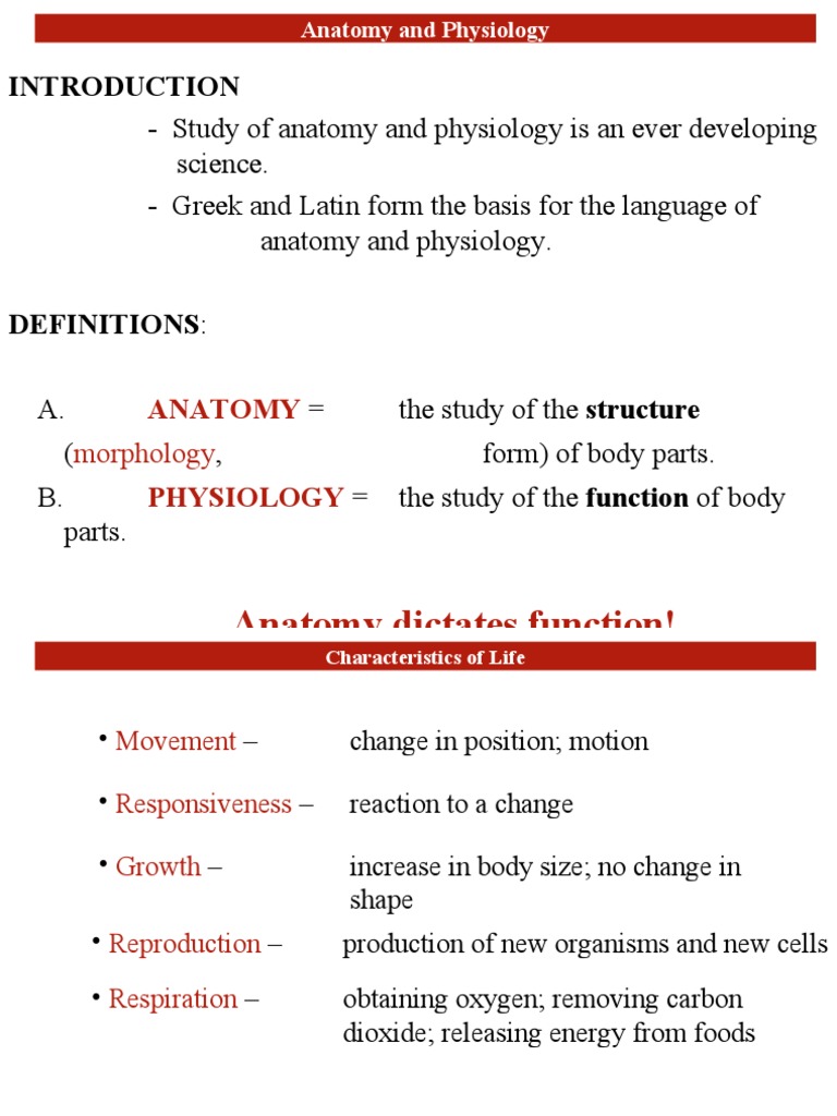 A&P Unit 1 Intro | PDF | Anatomical Terms Of Location | Human Body