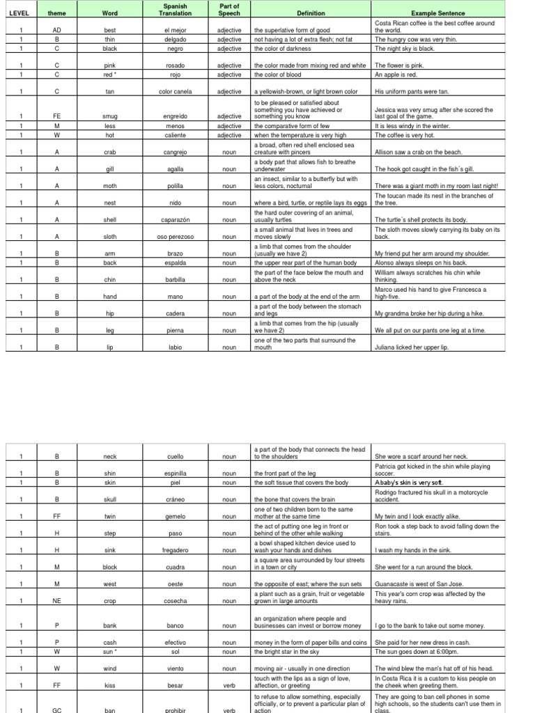 Spanish Level 1 Vocabulary: Adjectives, Nouns, and Verbs | PDF ...