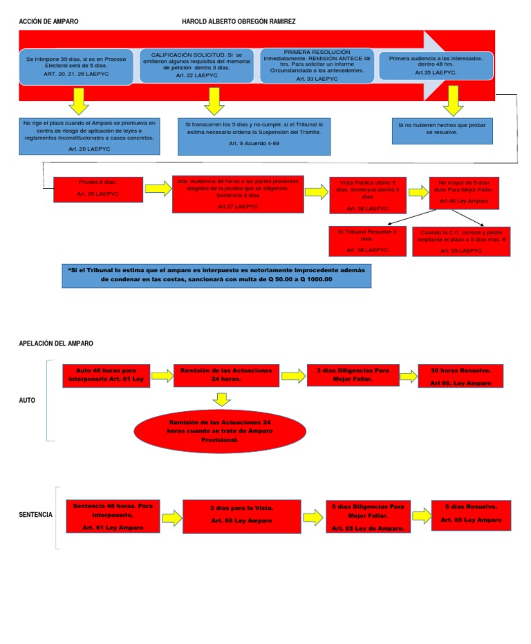 Esquema Amparo . | PDF | Sentencia (ley) | Judicaturas