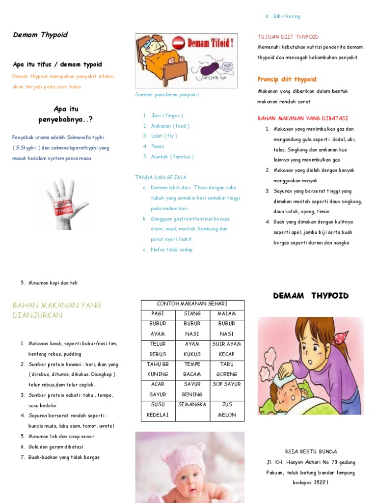 Panduan Diet Demam Tifoid dan Ibu Menyusui | PDF