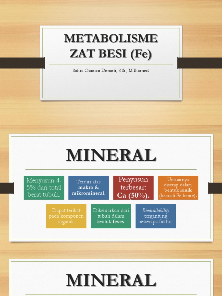 METABOLISME ZAT BESI Fe | PDF