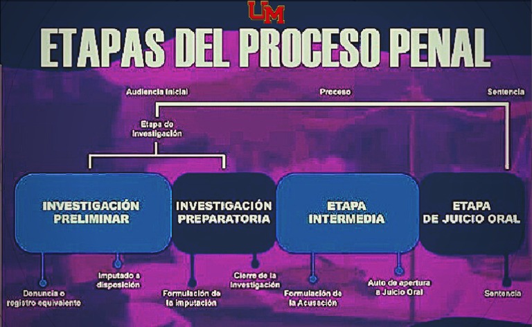 Esquema Primer Etapa Procesal | PDF