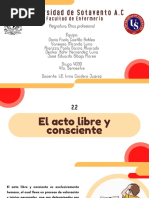 Toma de Bililabstix | PDF | Orina | Química