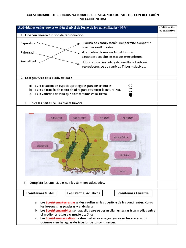 Cuestionario Séptimo Grado | PDF | Ecosistema | Ecuador