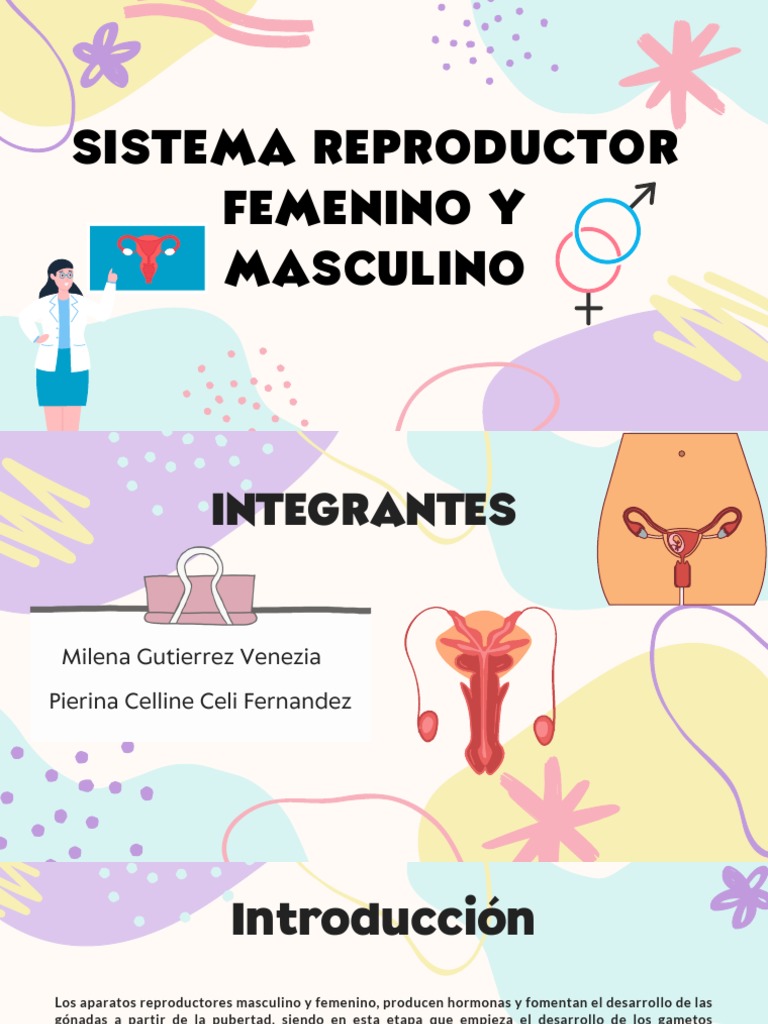 Sistema Reproductor Femenino y Masculino Grupo12 | PDF | Sistema reproductivo | Órgano (anatomía)