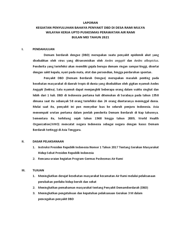 Laporan Penyuluhan DBD | PDF