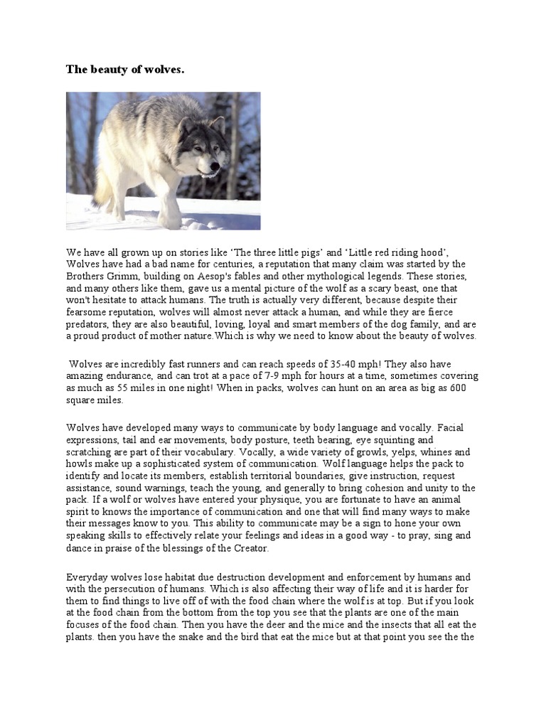 The Beauty of Wolves | PDF