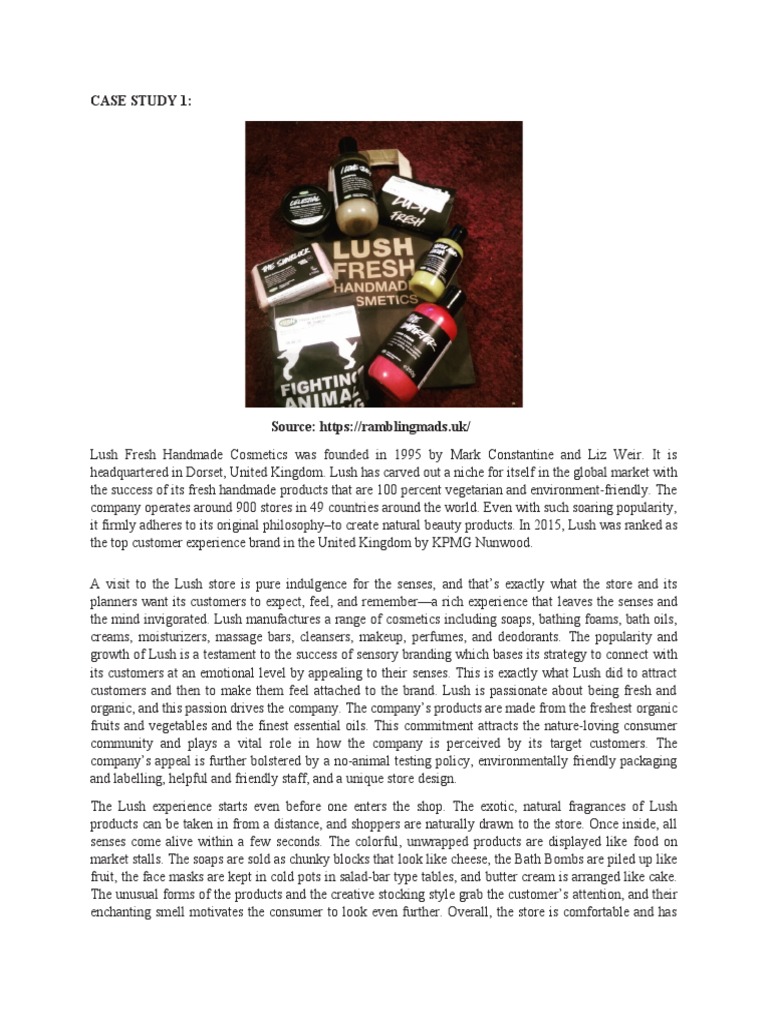 Case Study Practice | PDF | Consumer Behaviour | Perception