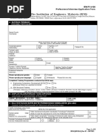 Guideline To Fill Professional Experience Section For Bem Outcome | PDF