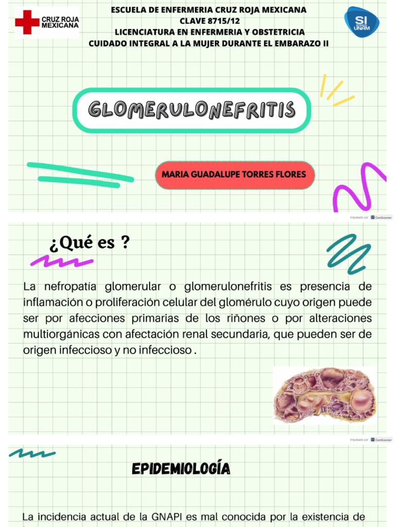 Glomerulonefritis | PDF