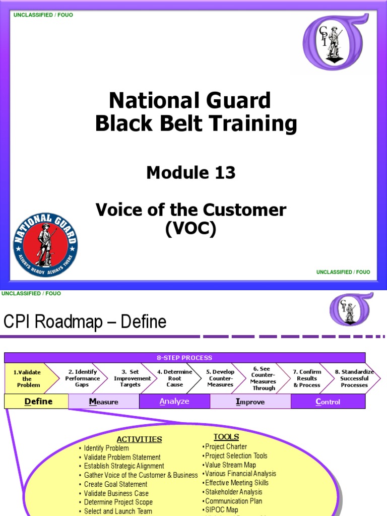 Module 13. Voice of The Customer (VOC) | PDF | Focus Group | Information