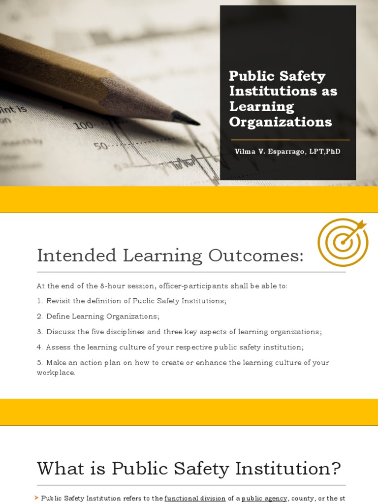 Public Safety Institutions As Learning Organizations | PDF