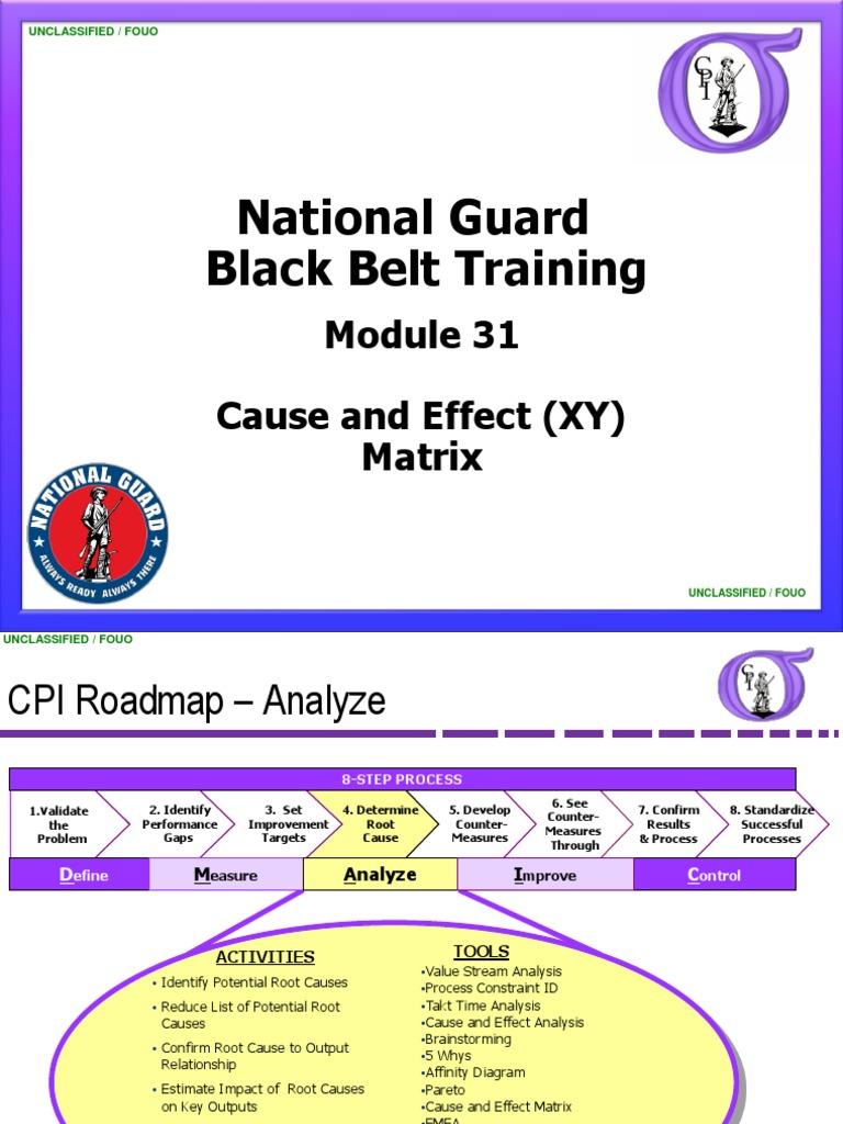 Module 31. Cause and Effect (XY) Matrix | Download Free PDF | Causality ...