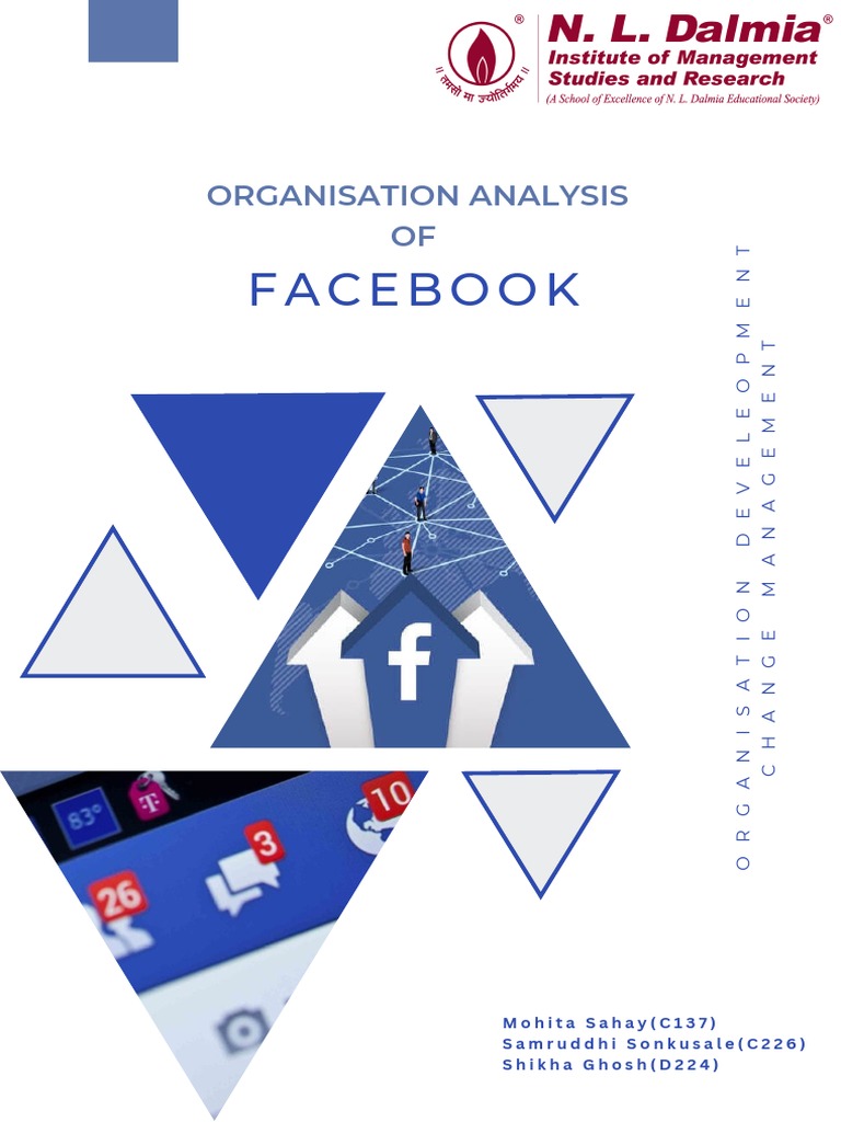 Research Project | PDF | Facebook | Advertising