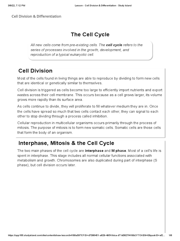 Lesson - Cell Division - Differentiation | PDF | Mitosis | Cell (Biology)