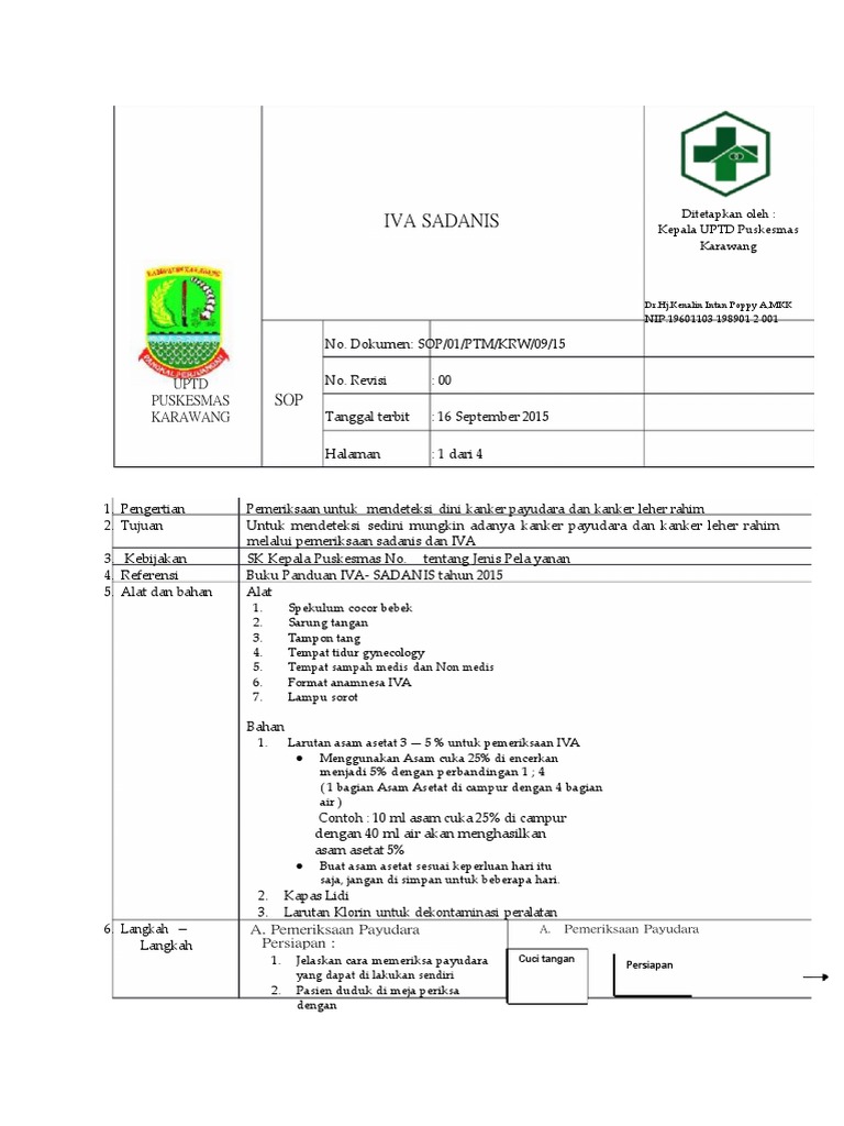PDF Sop Iva Sadanis | PDF