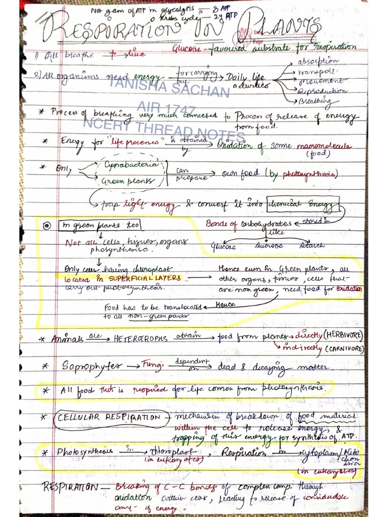 Respiration in Plant Ncert Thread Notes | PDF