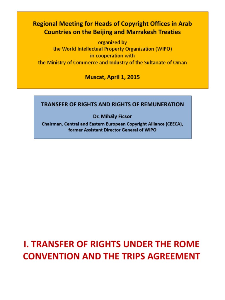 Wipo CR MCT 15 Inf t7 | PDF | Treaty | Copyright