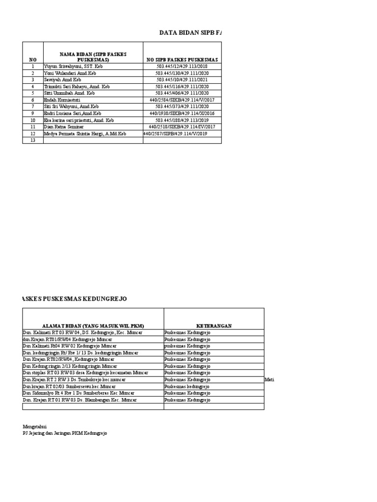 Data Bidan Faskes K | PDF